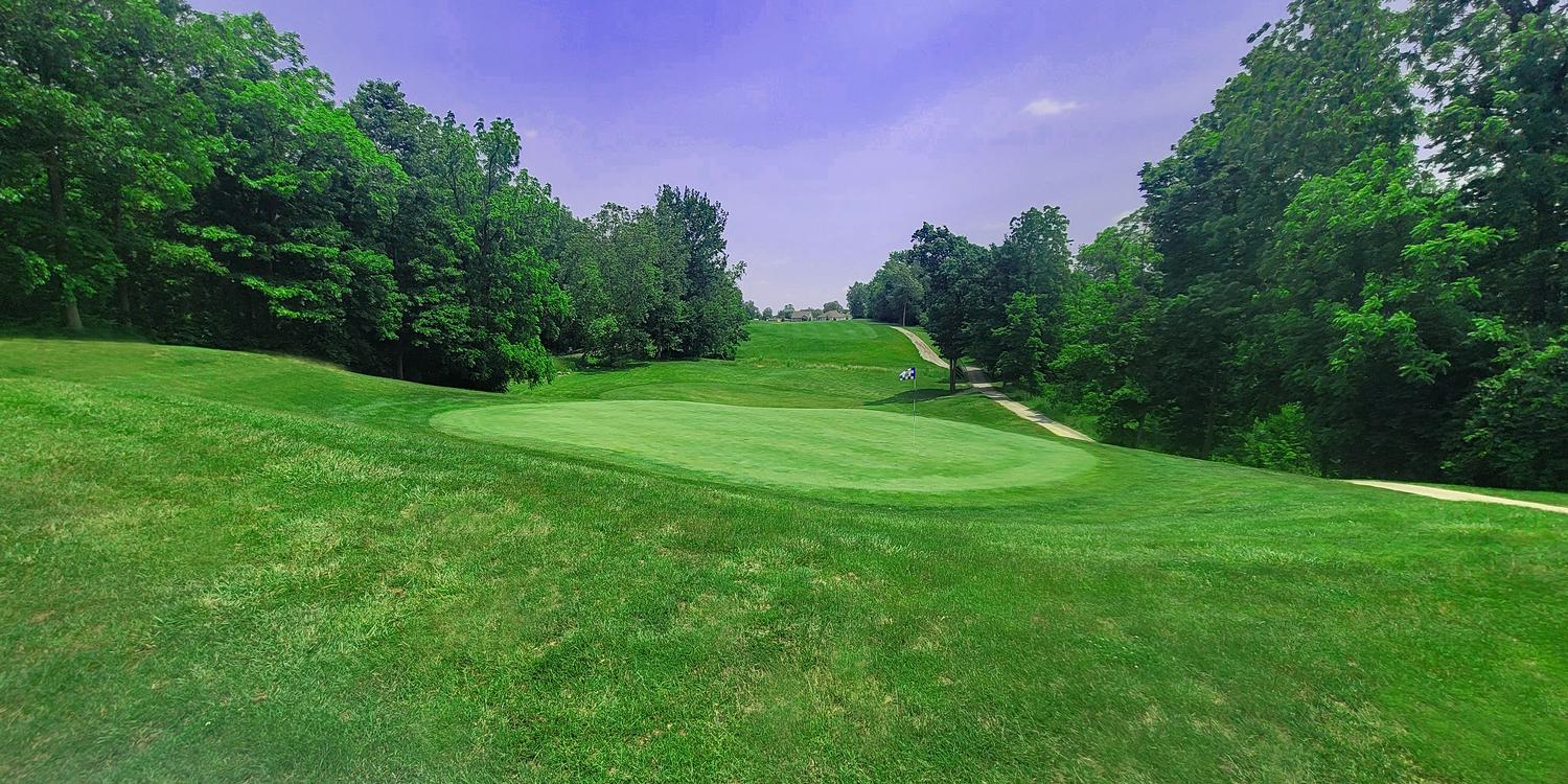 Elwood Golf Links By David Theoret